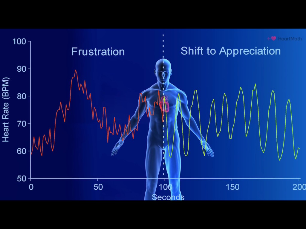 What is a Heart Wall? - Embrace Your Light